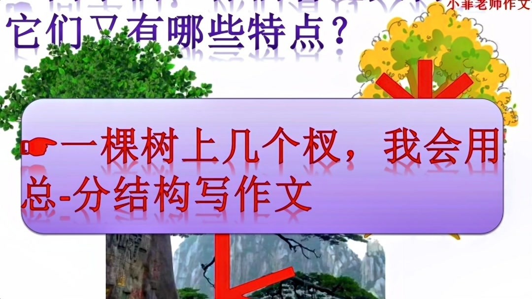 用总分结构写作文