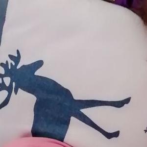 凯哥讲故事wsk 