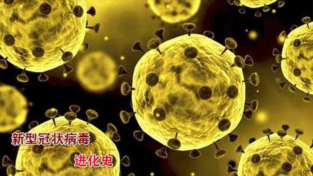 新型冠状病毒进化史:它从何而来,它的演变历程又是如何?