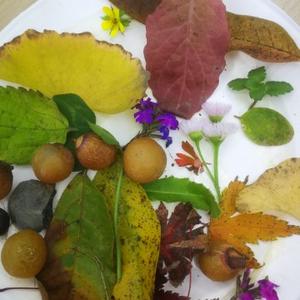 爱晒太阳的大雪 