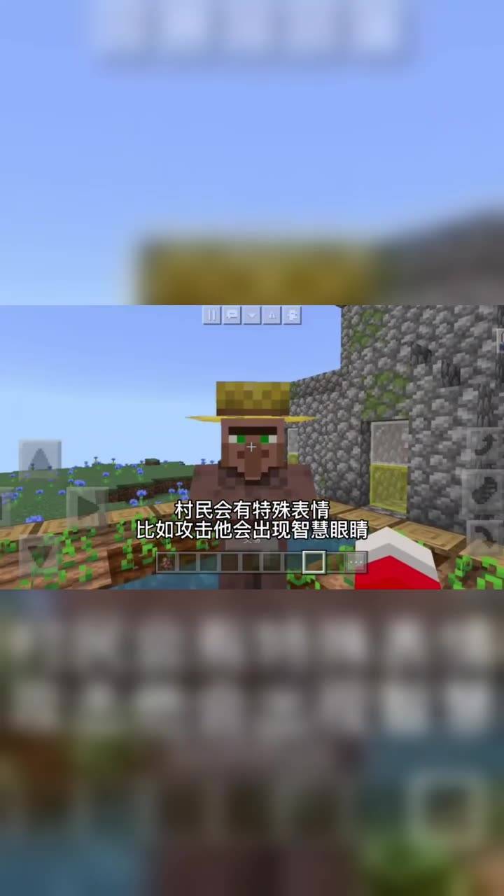 我的世界:生物的表情!