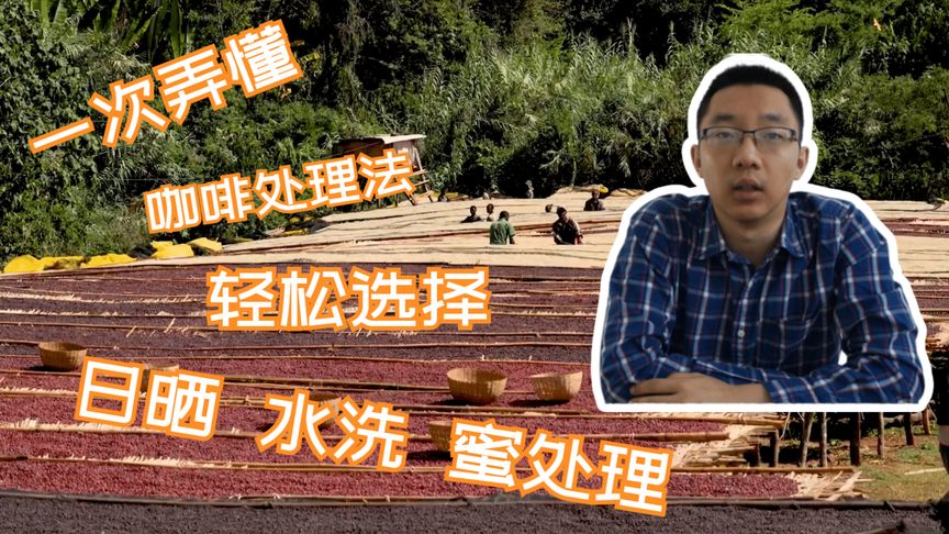 「咖啡干货」经典咖啡三大处理法大PK,日晒、水洗、蜜处理如何选