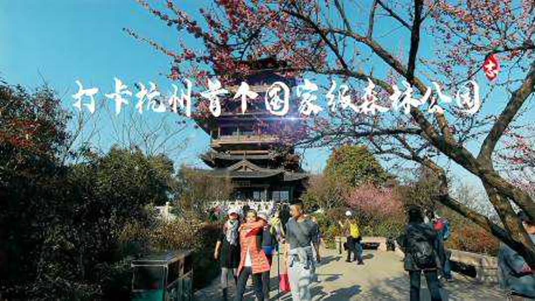 打卡杭州首个国家级森林公园,绿化覆盖率90%,被誉为"都市森林"