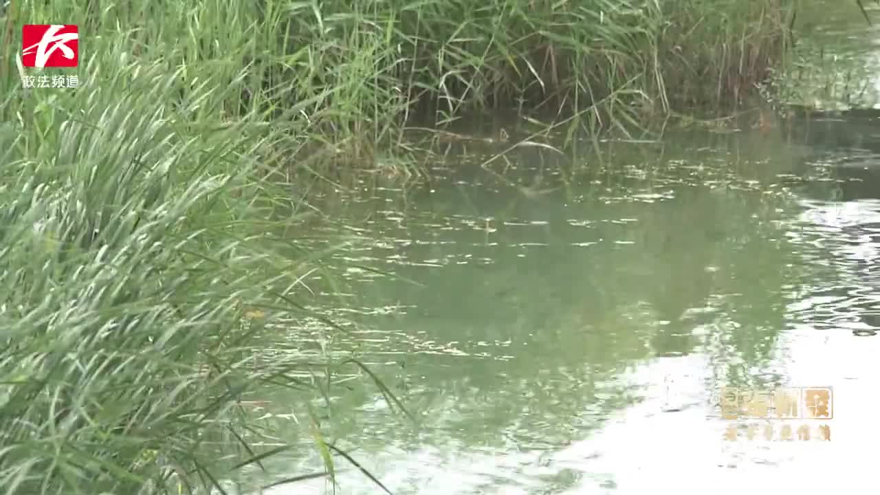 世界环境日:保护湿地我们在行动,为默默奉献守护者颁发荣誉证书