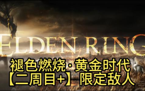 艾尔登法环大型MOD【褪色燃烧·黄金时代】游玩攻略第九期——二...