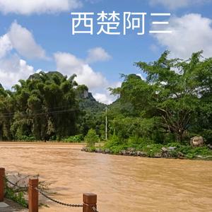 西楚阿三 