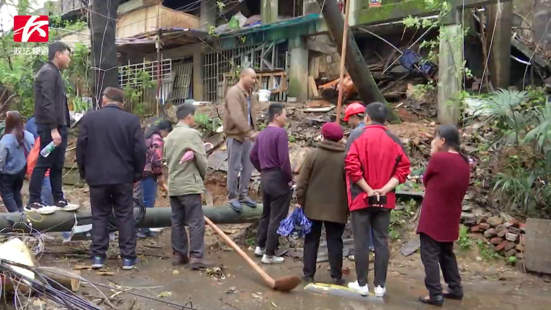 雷暴大风吹倒电线杆,省植物园多颗树木倒伏:暂时闭园