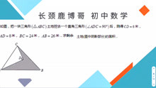 初二数学,勾股定理与勾股定理的逆定理怎么使用?学霸直呼完美