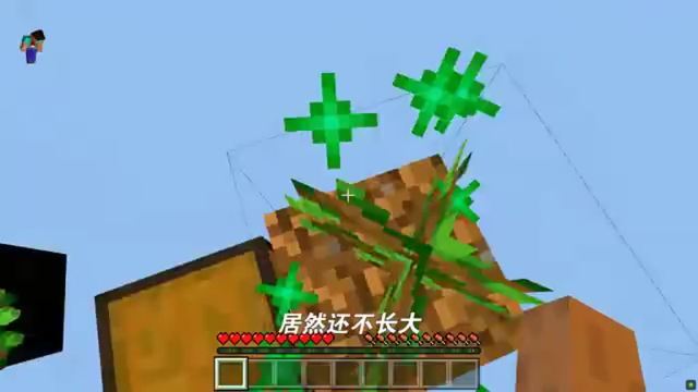 我的世界:空岛终于出现动物,却惨遭小伙伴毒手!