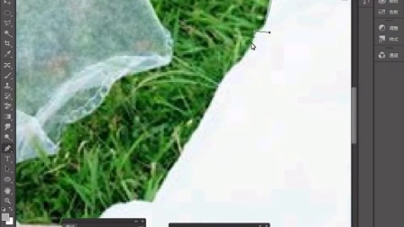 Photoshop蒙版抠图视频教程(7)