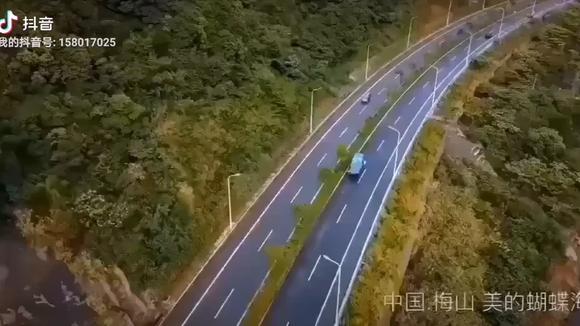 ߦ� ߦ� 美的蝴蝶海ߦ� ߦ