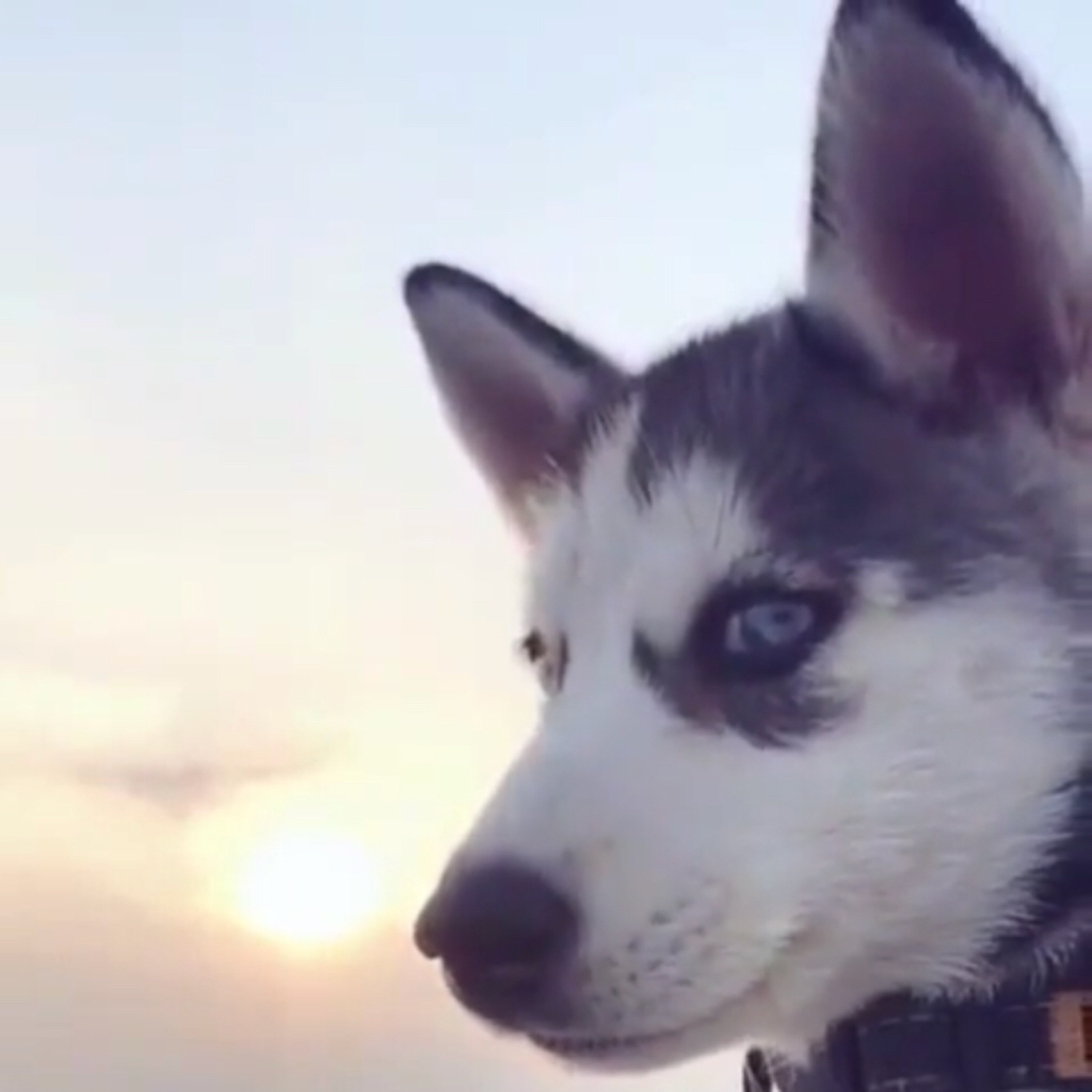 海陆空立体乱炖汤 