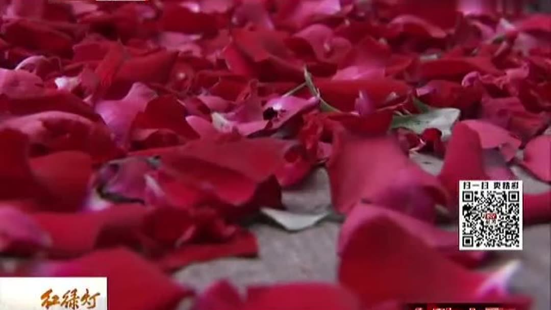 血路之殇 道路交通安全警示教育片