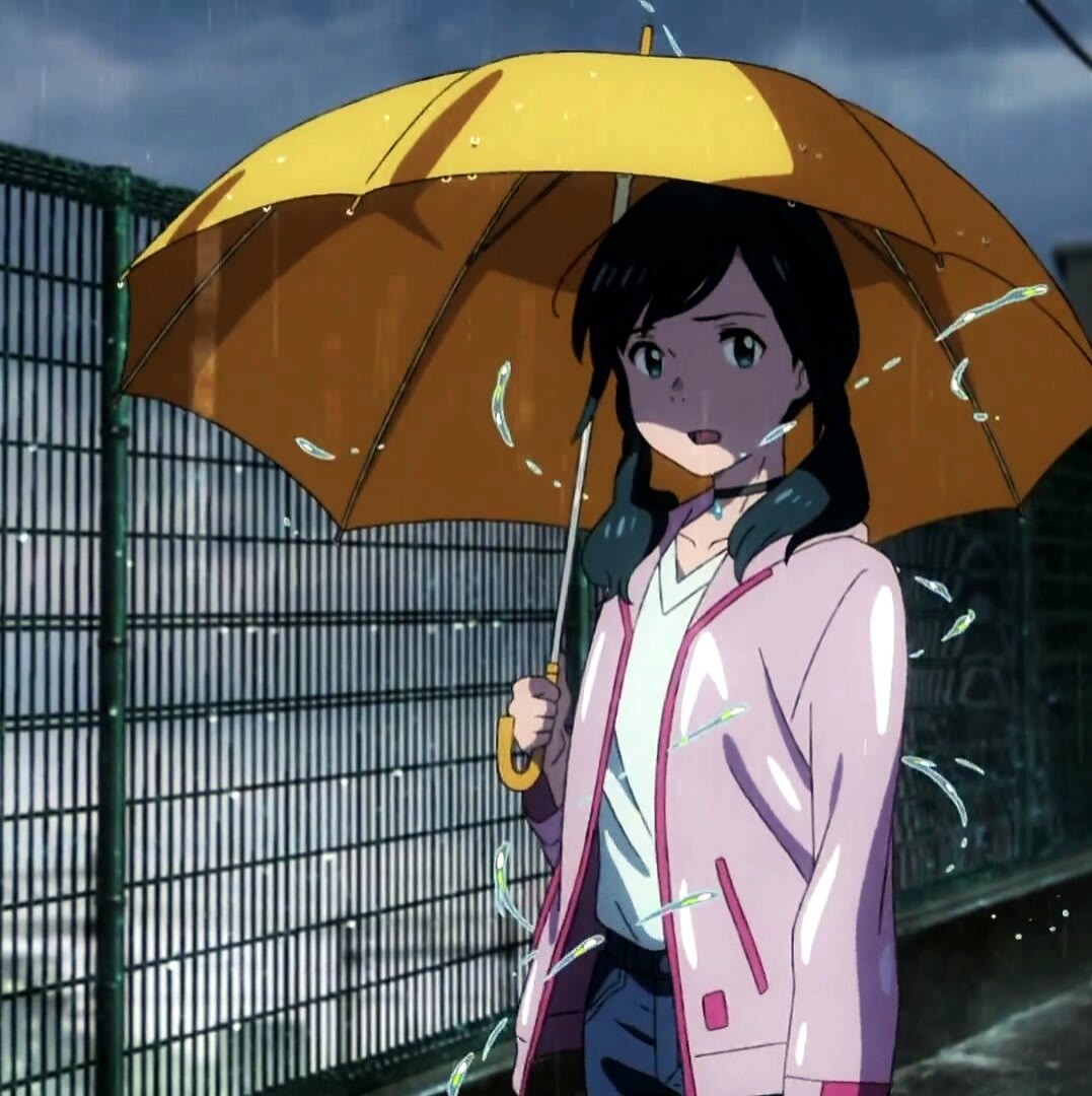 花枝兰 