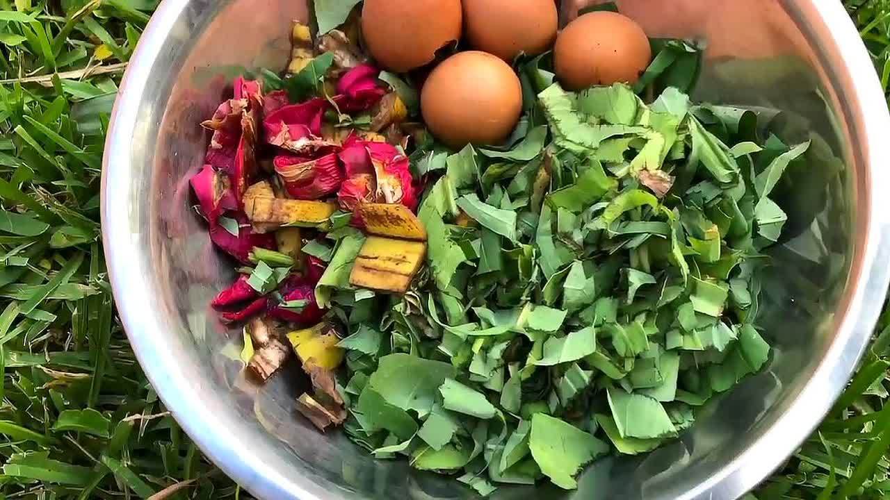 把厨余变成有机的肥料简单方便,把厨余垃圾变成有机土壤就这样做