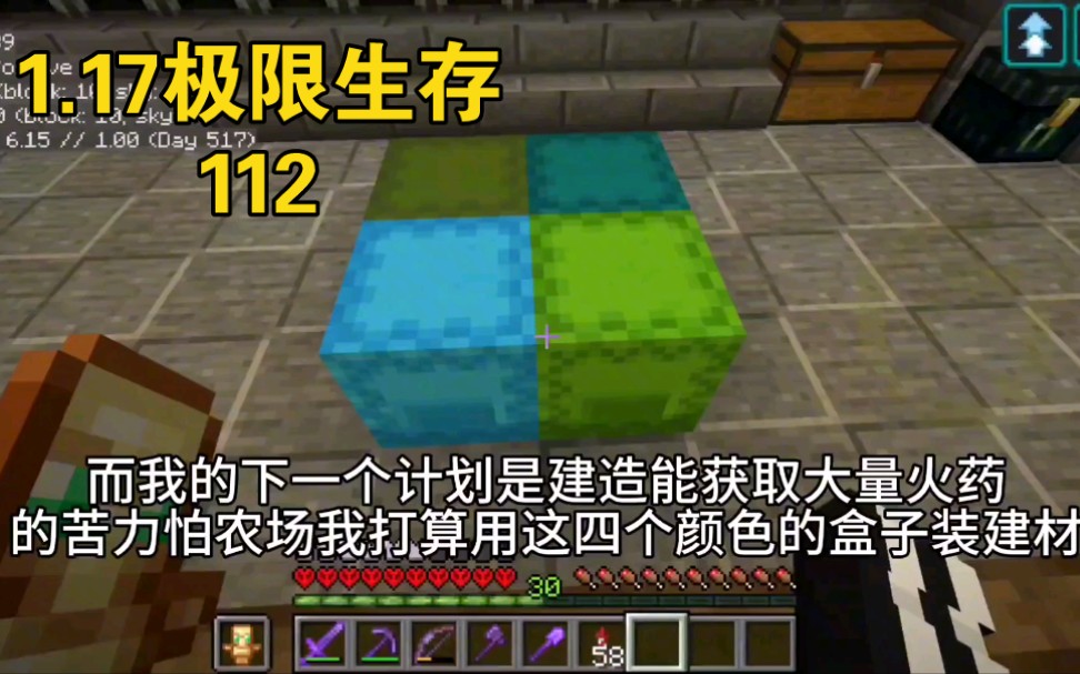 【我的世界】Java版1.17极限生存 112