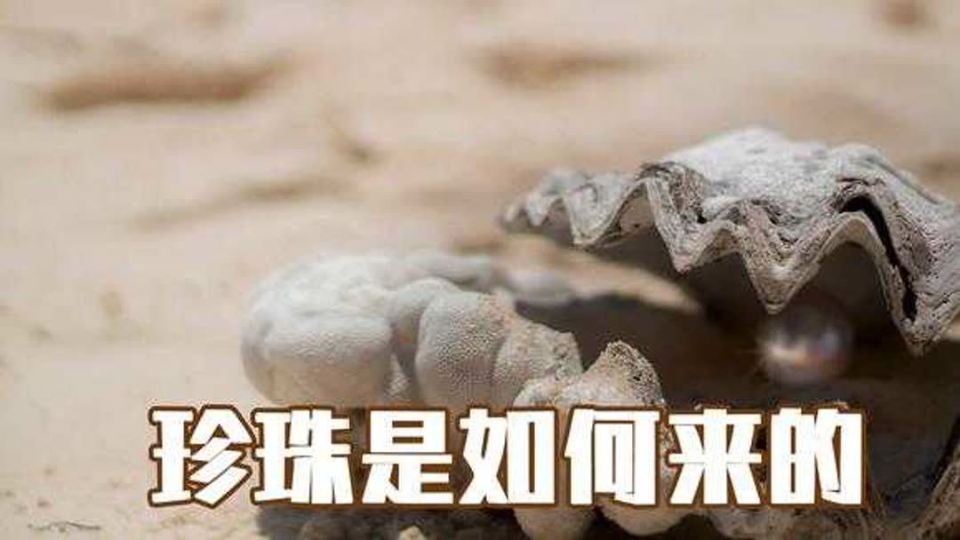美丽的珍珠是怎么形成的?