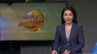 2023年度深圳市社会组织等级评估结果出炉