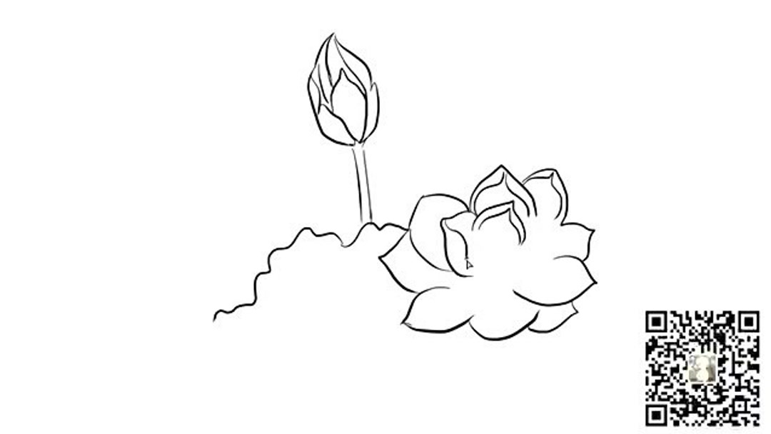 荷花与蜻蜓简笔画