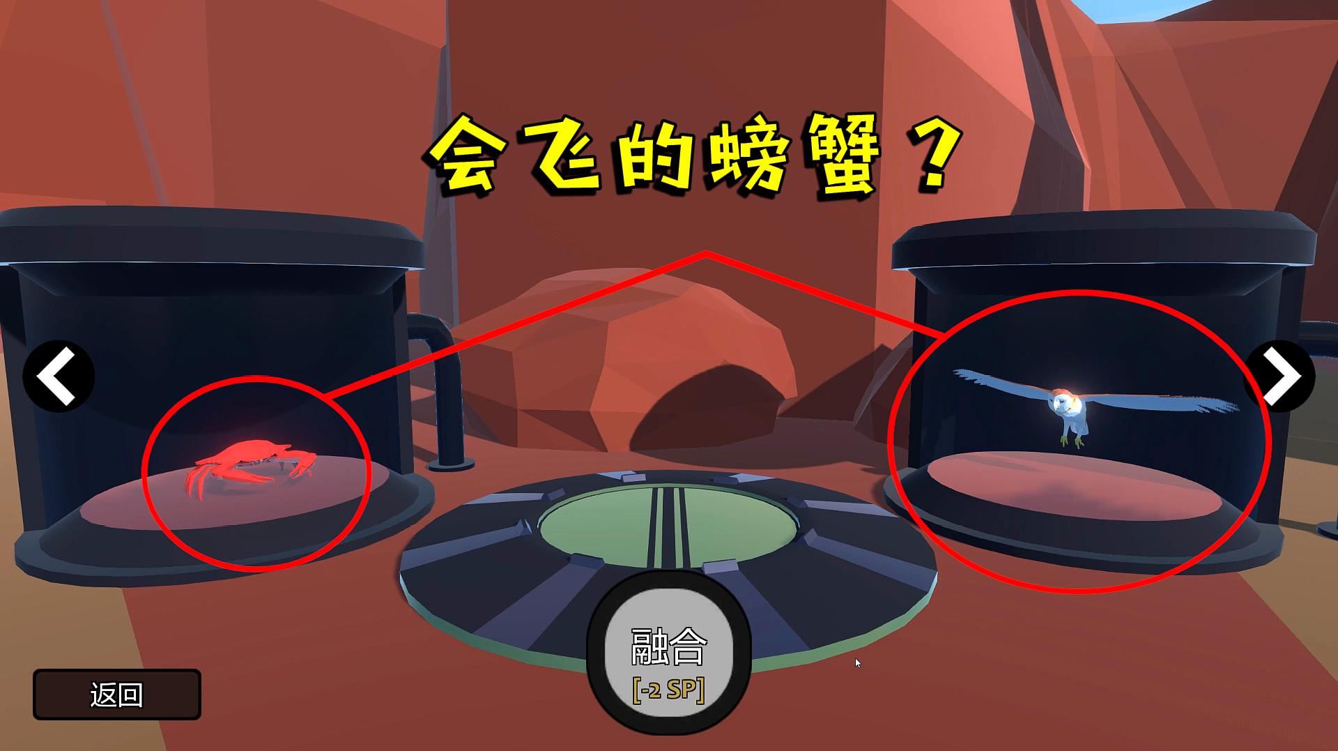 动物混合模拟器:螃蟹加猫头鹰会变成什么?