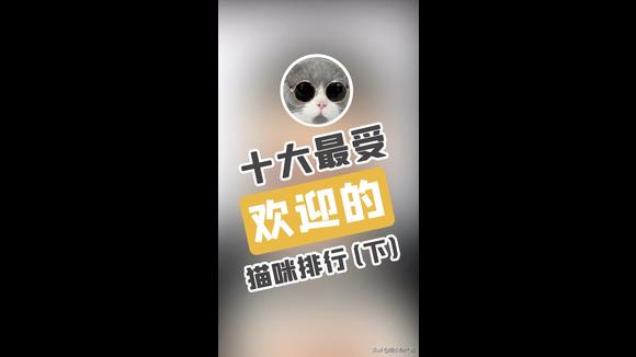 十大最受欢迎的猫咪排行,赶快点击进来看看吧!双击送每日冻干