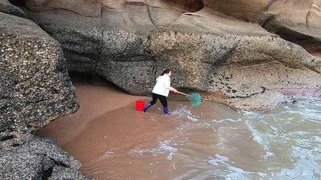 皮皮为了请猪猪吃大餐,奔向浪里的大货,差点把抓的鱼全丢了