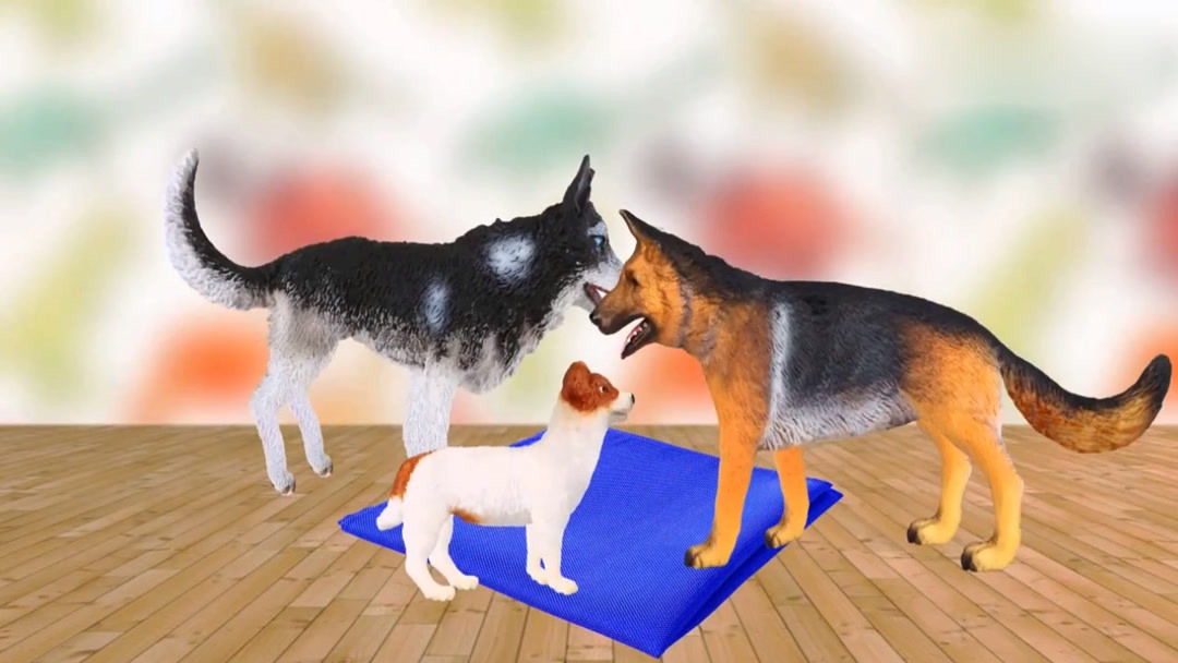 介绍各种小狗狗玩具