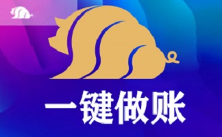 盐城财务软件,财务软件哪个口碑好?