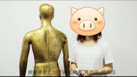 律动养生-肾俞穴的作用与养护