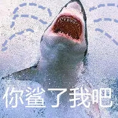 愤怒的阿猥哥 