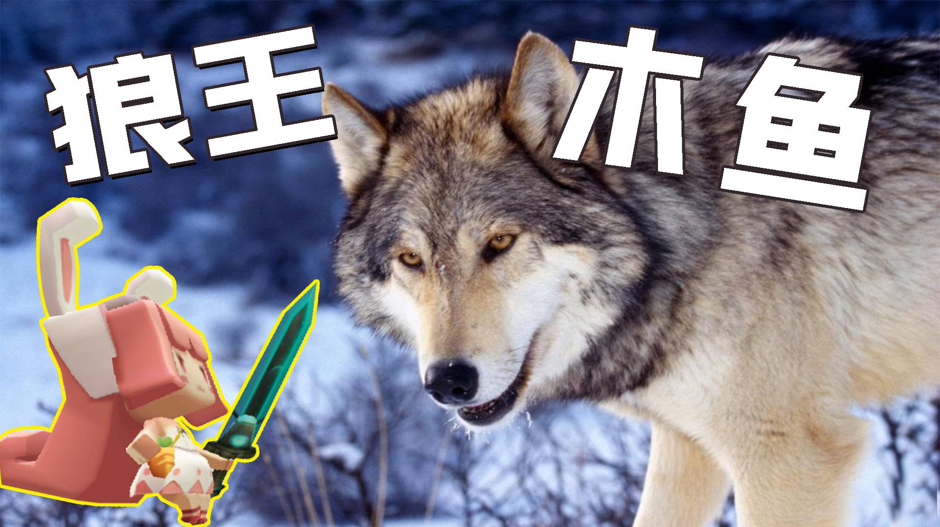 木鱼迷你世界 趣味小游戏,木鱼小铃铛挑战狼王木鱼!