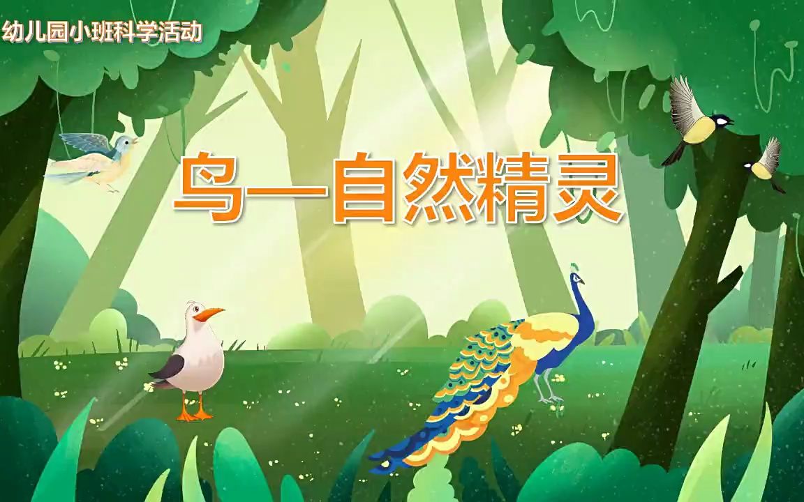 幼儿园教学课件科学教育《鸟自然精灵》PPT课件