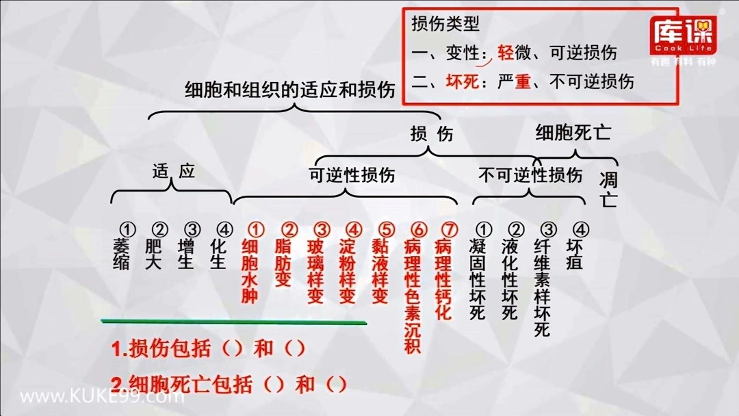 2020专升本-河南-病理学-冲刺-第02章 细胞和组织的损伤与修复二