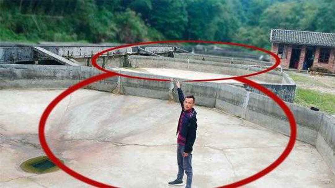 山里一户人家靠养殖,出一次货就收入22万,一年净利润130万