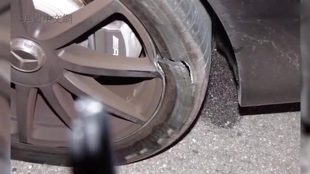 毒驾?醉驾?老虎伍兹被捕画面曝光.