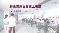 《孕育大讲堂》第三期卵巢性不孕怎么治疗