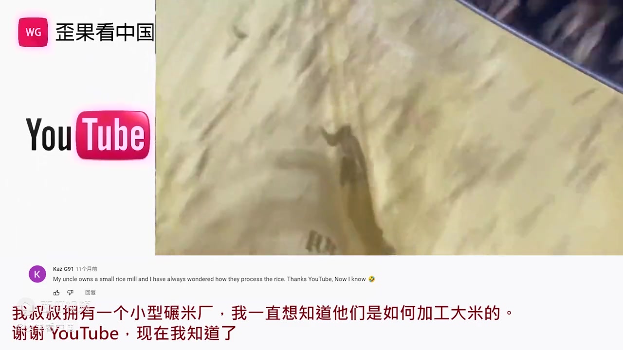 国外看中国农村种植稻谷变大米过程 外国网友:没想到这么复杂_