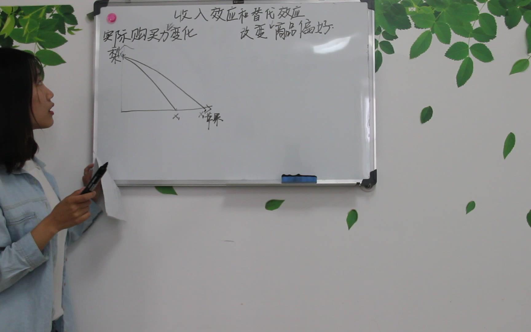 南审朋辈微课 收入效应和替代效应