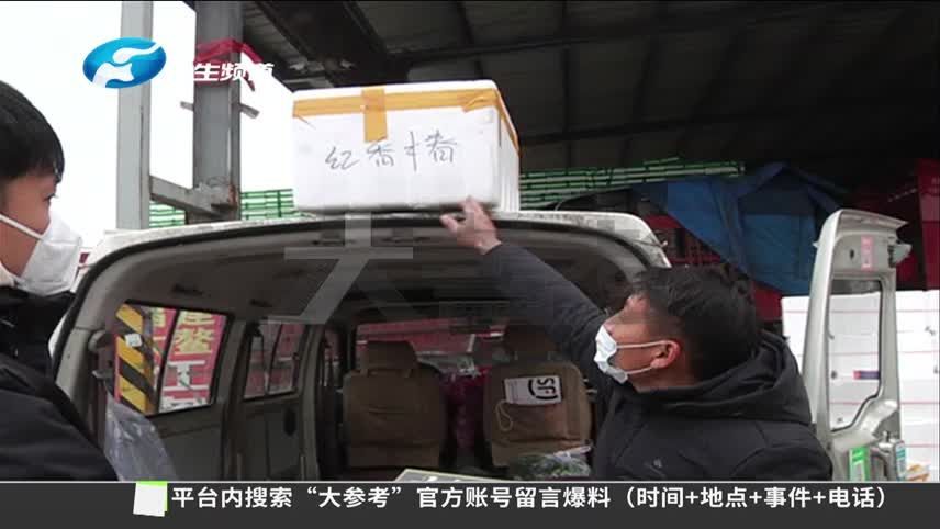 30多元一斤,一天卖一吨!香椿"抢鲜"上市