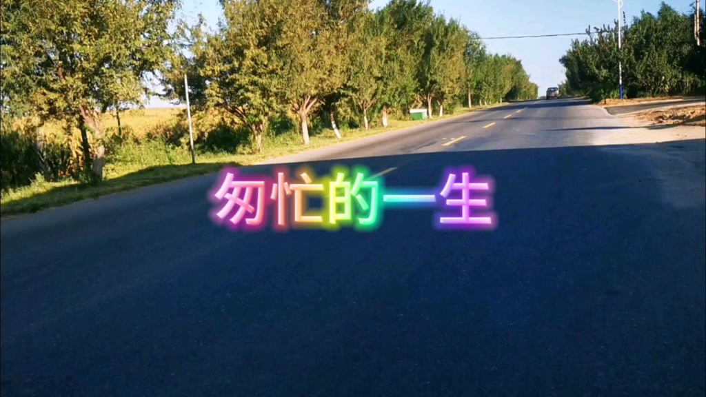 苍蝇一分钟的人生,匆匆忙忙