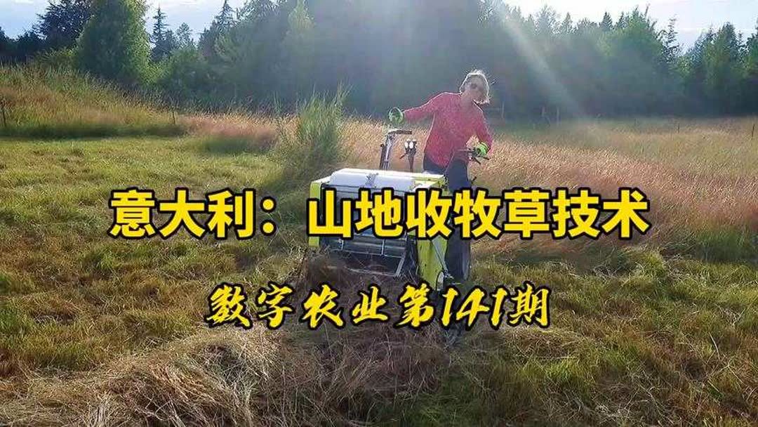 数字农业141期:意大利山地收牧草技术!适合中国山区的畜牧业