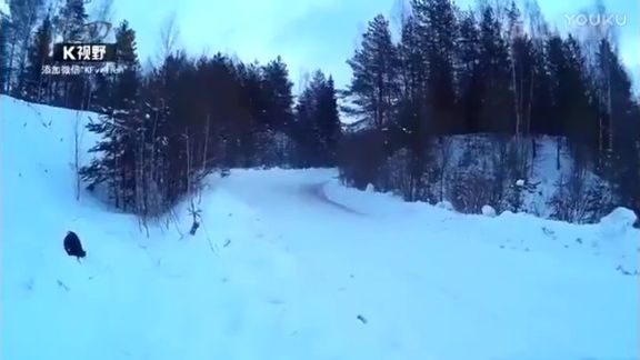 战斗民族太拼了,碉堡了