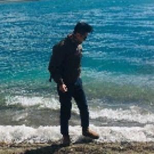 喜欢画画的大鹏