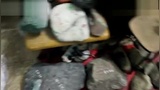 松花翡翠玉石 黄皮翡翠原石