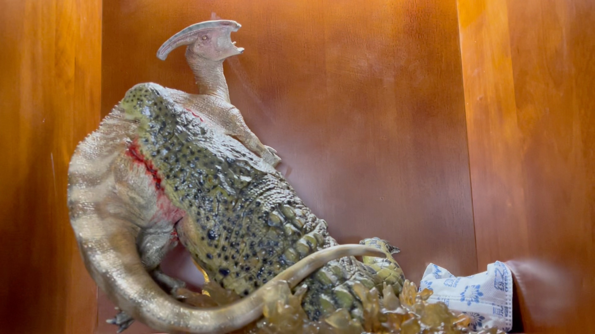 恐龙模型gk鉴赏(涂好入柜部分)