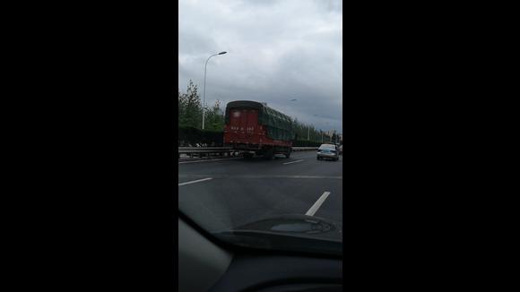交通法规该好好学习下