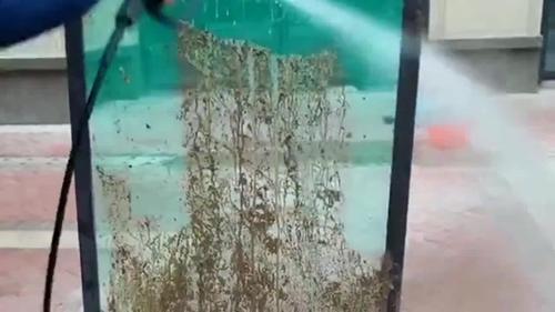 家用高压洗车机洗的很实用,轻松就把玻璃洗的锃亮,就问你服不服?