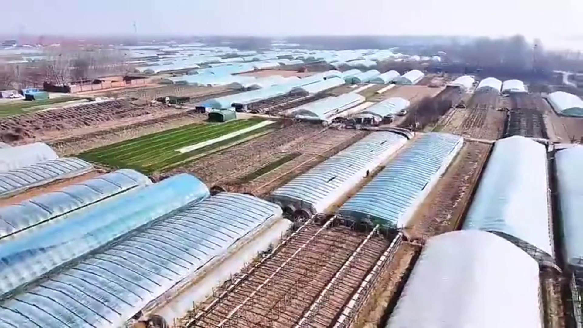 滨州市滨城区:人勤春来早 玉米春播忙