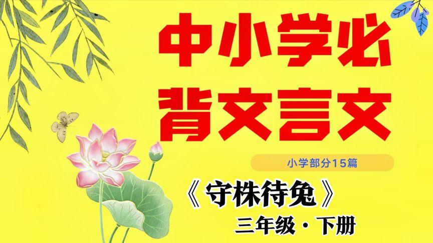 守株待兔 三年级下册 部编课文 文言文阅读 #学浪计划#暑假季#