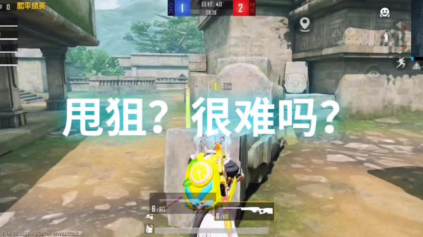 这是我对狙的理解!#和平精英 #热门 #瞬狙 #甩狙 #大热门